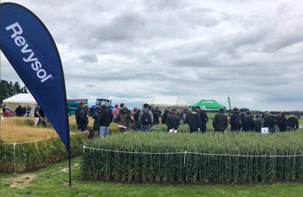 BASF obține omologarea europeană pentru fungicidul Revysol - Agroind ...